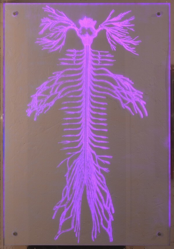 Light Art: "Indirect Realism" - Leo Jahaan Art